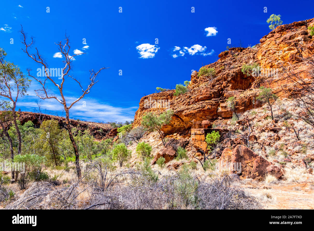 Kathleen Springs is within Kathleen Gorge, and is an important ...
