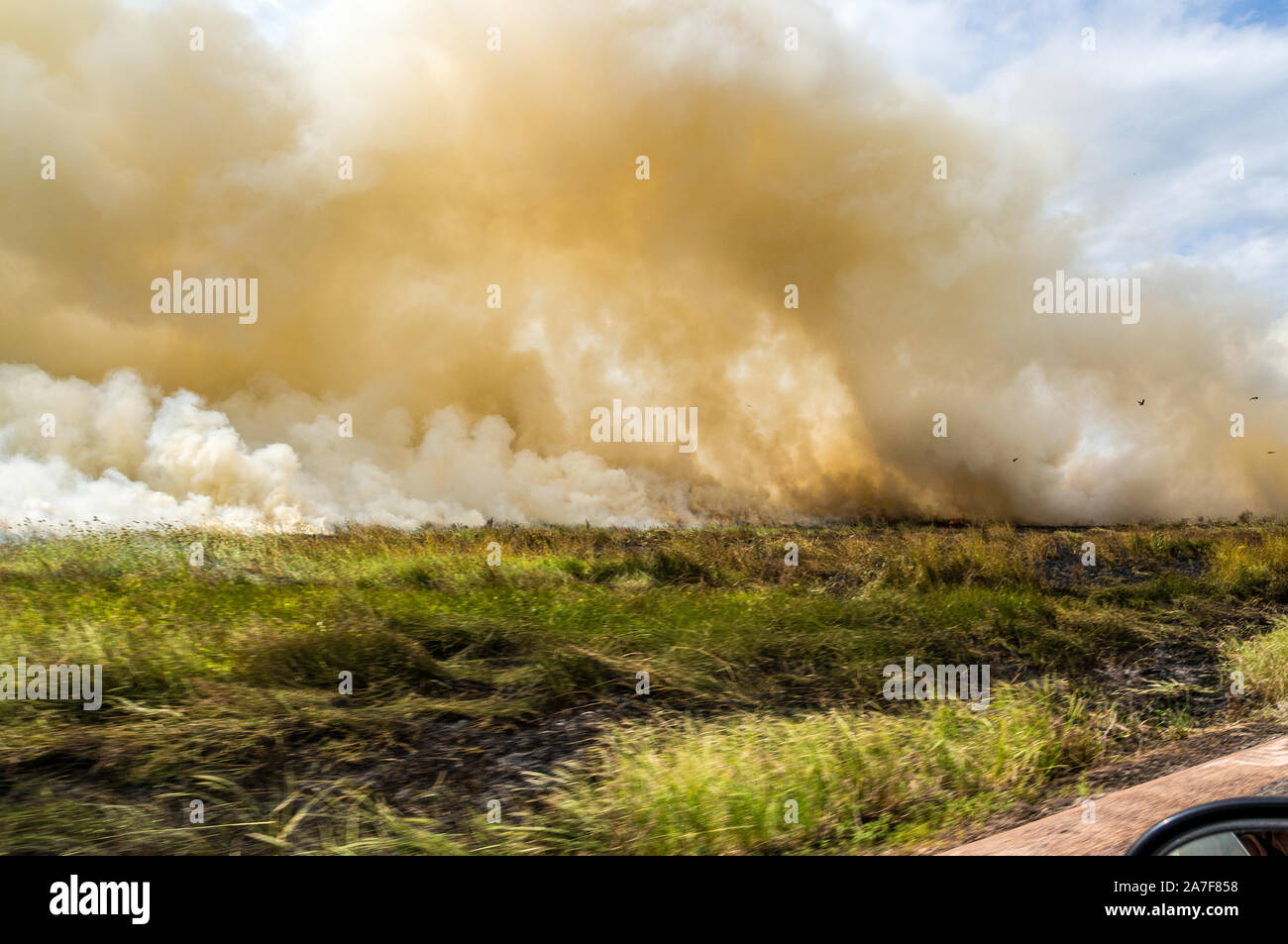 controlled Bushfire in Kakadu National Park, with diffrent birds ...
