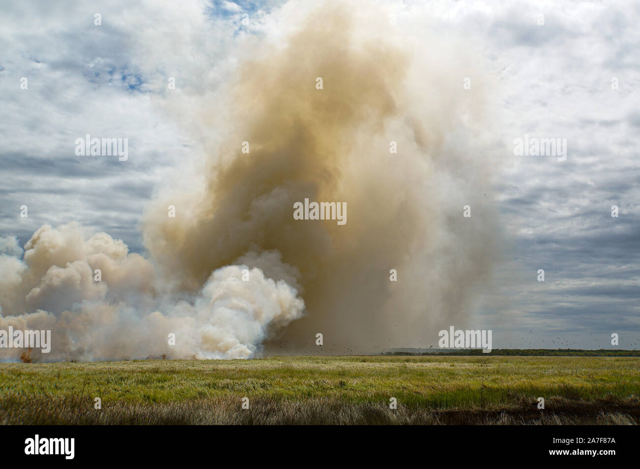 controlled Bushfire in Kakadu National Park, with diffrent birds ...