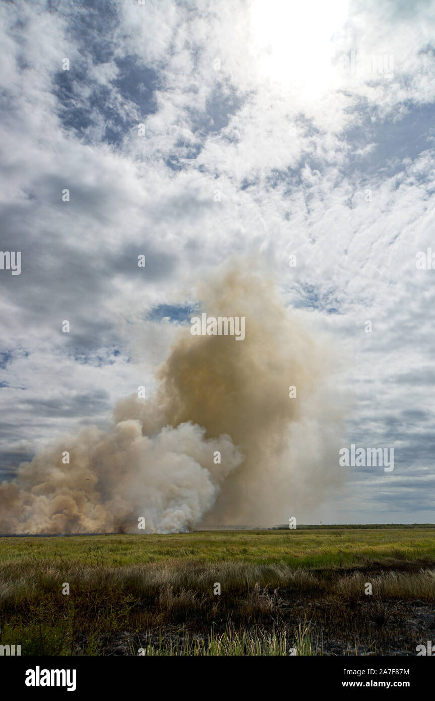 controlled Bushfire in Kakadu National Park, with diffrent birds ...