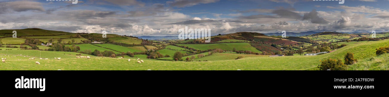 Denbigh moors hi-res stock photography and images - Alamy