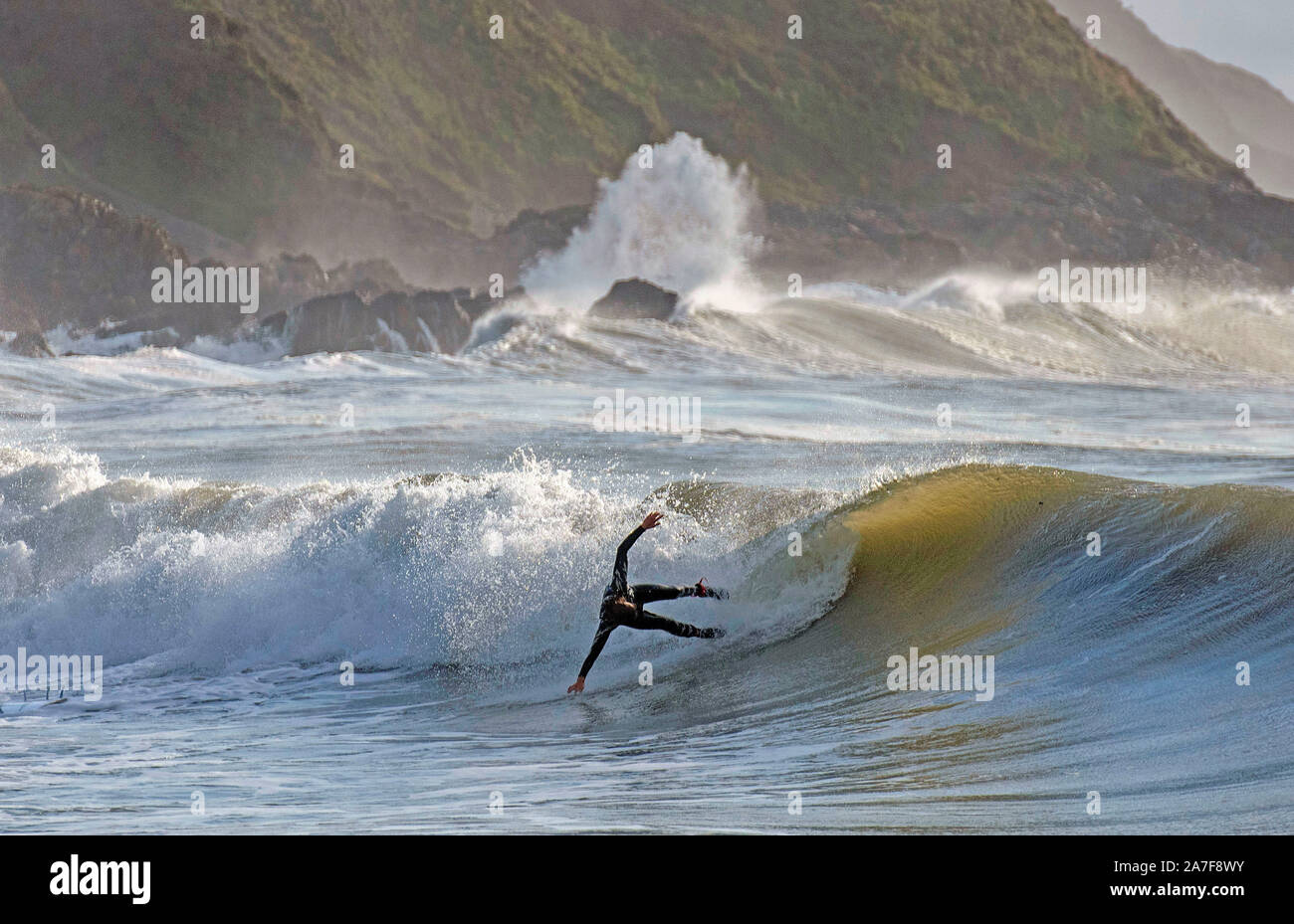 Swansea, UK. 02nd Nov, 2019. A surfer falls while riding the waves at ...