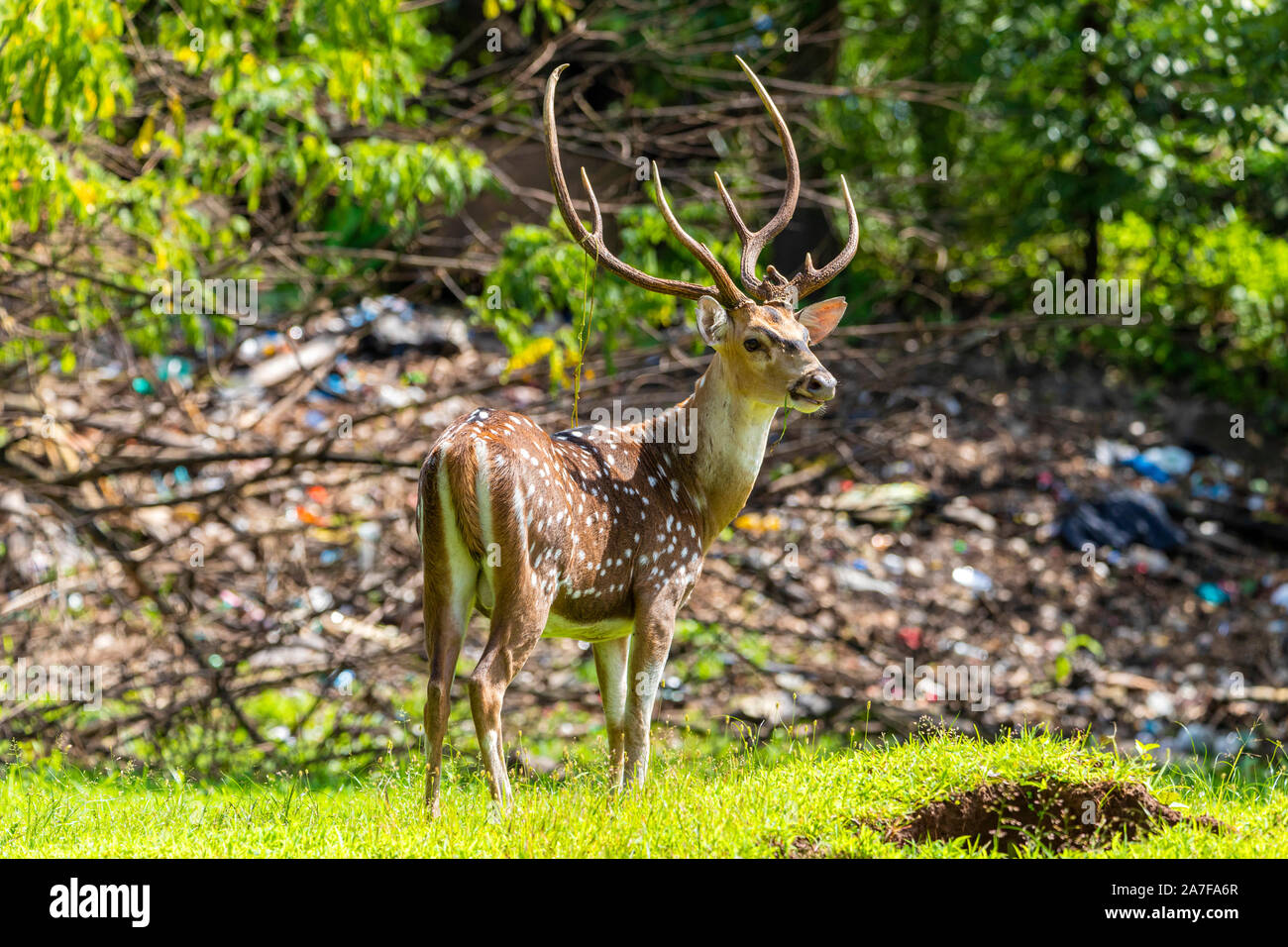 Land pollution hi-res stock photography and images - Alamy