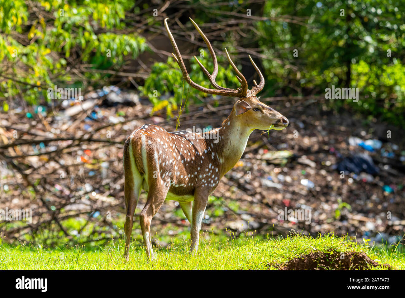 Land pollution hi-res stock photography and images - Alamy