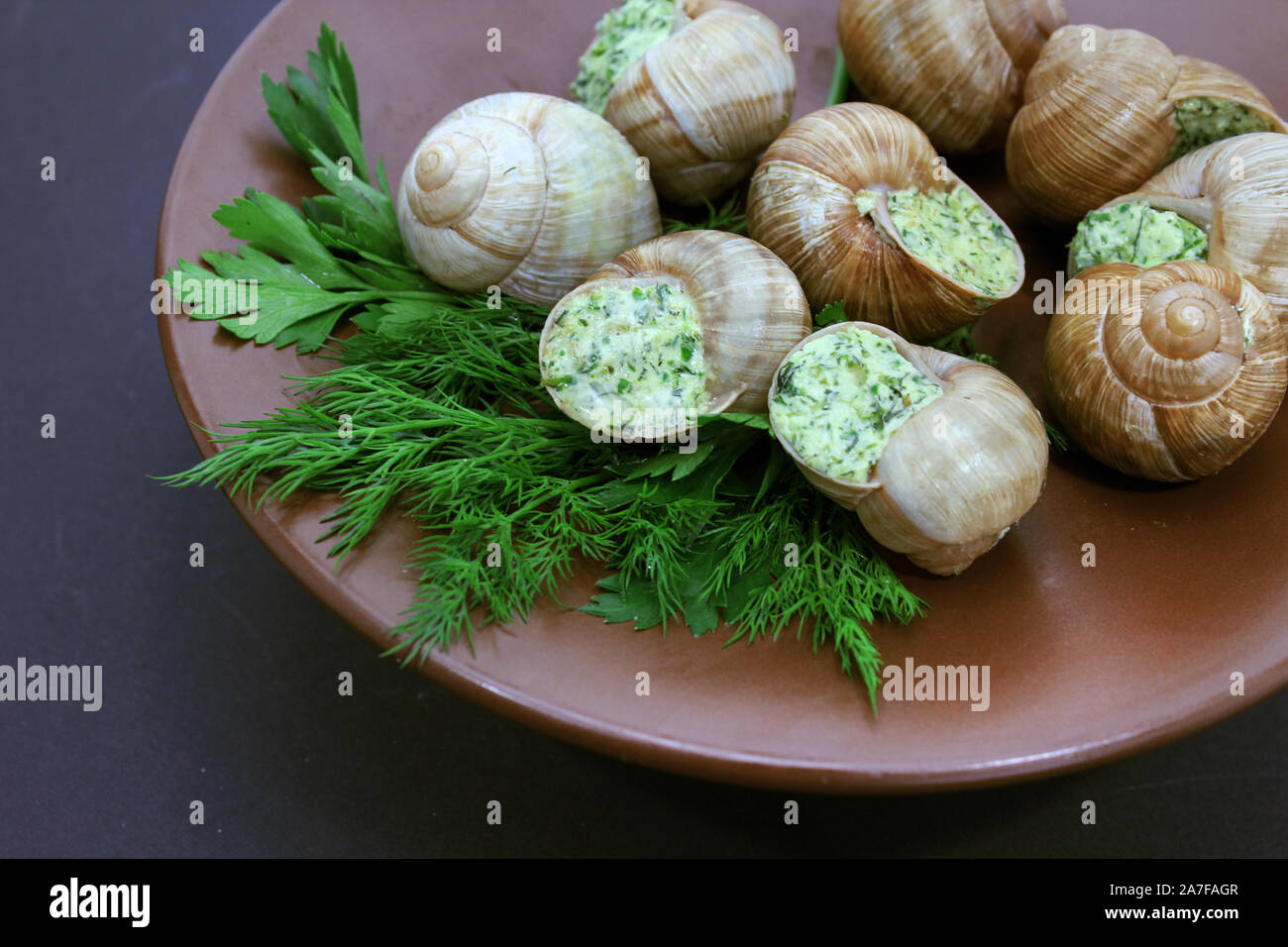 Water escargot hi-res stock photography and images - Alamy