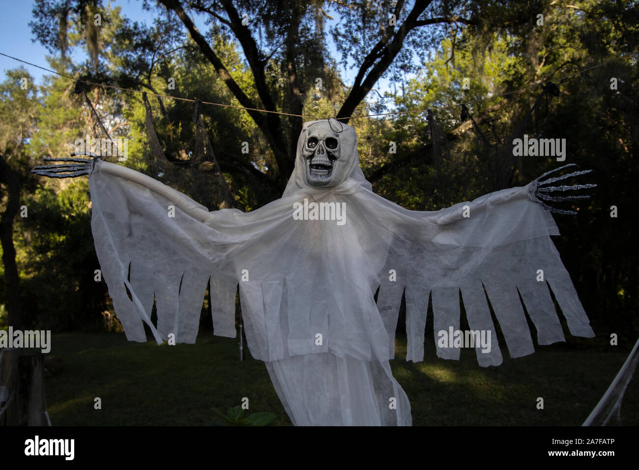Halloween ghost floating in the forest Stock Photo - Alamy