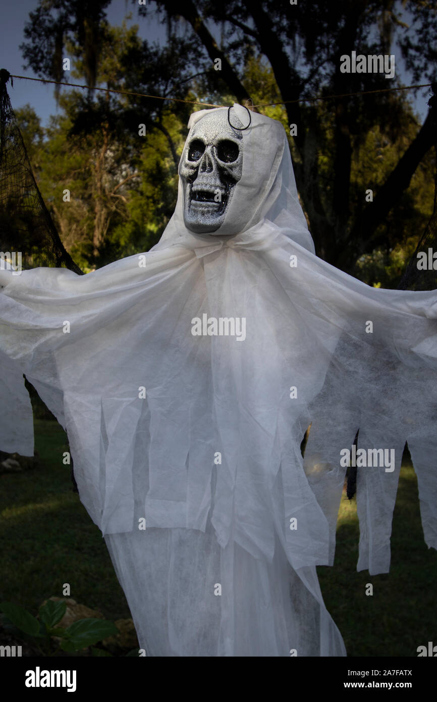 Floating forest scary hi-res stock photography and images - Alamy