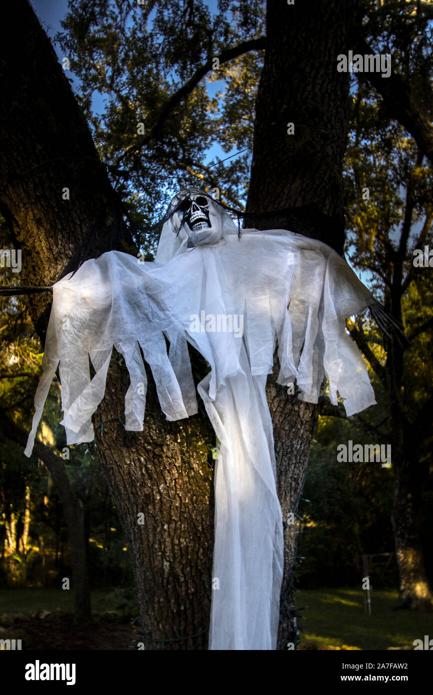Halloween ghost floating in the forest Stock Photo - Alamy