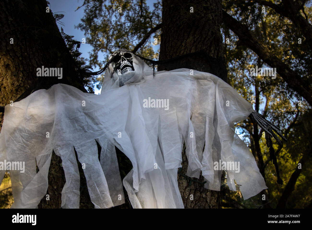 Halloween ghost floating in the forest Stock Photo - Alamy
