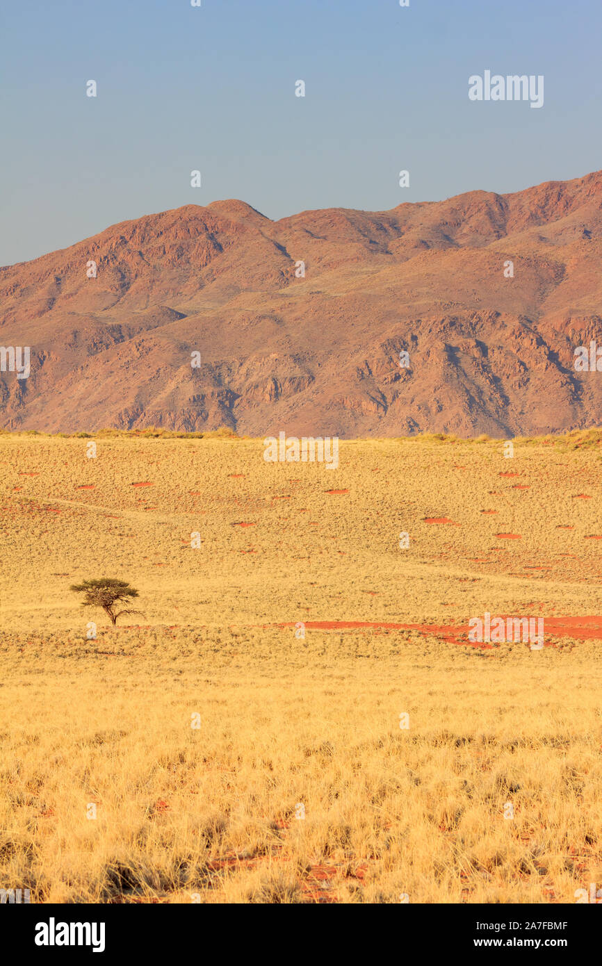 Mysterious Fairy Circles in Namibia, Africa Stock Photo - Alamy