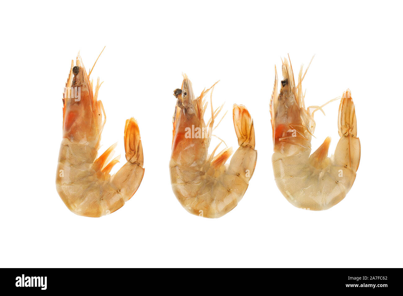 Fresh prawn against white background hi-res stock photography and ...
