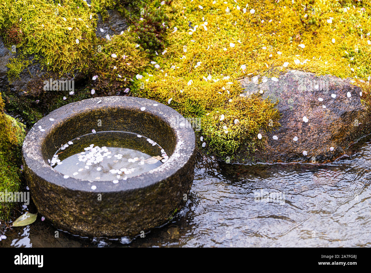 Eikando temple stone garden in Kyoto, Japan during early spring with ...