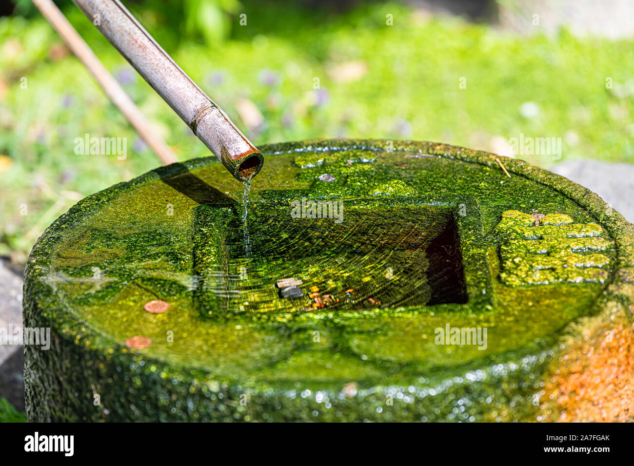 Water flowing from bamboo wooden tube into stone rock basin in Kyoto ...