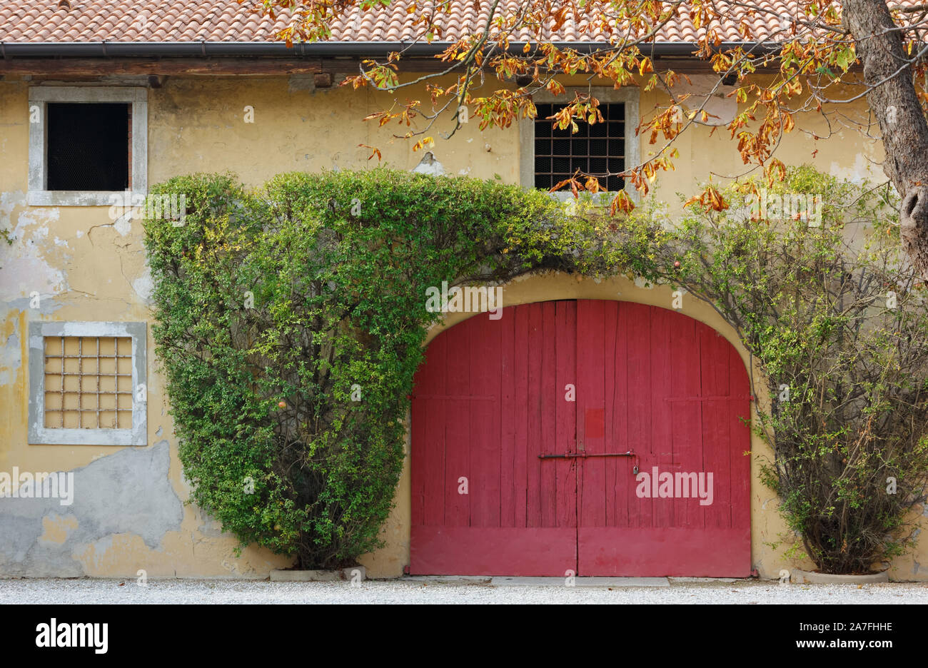Vegetation and wooden gate hi-res stock photography and images - Alamy