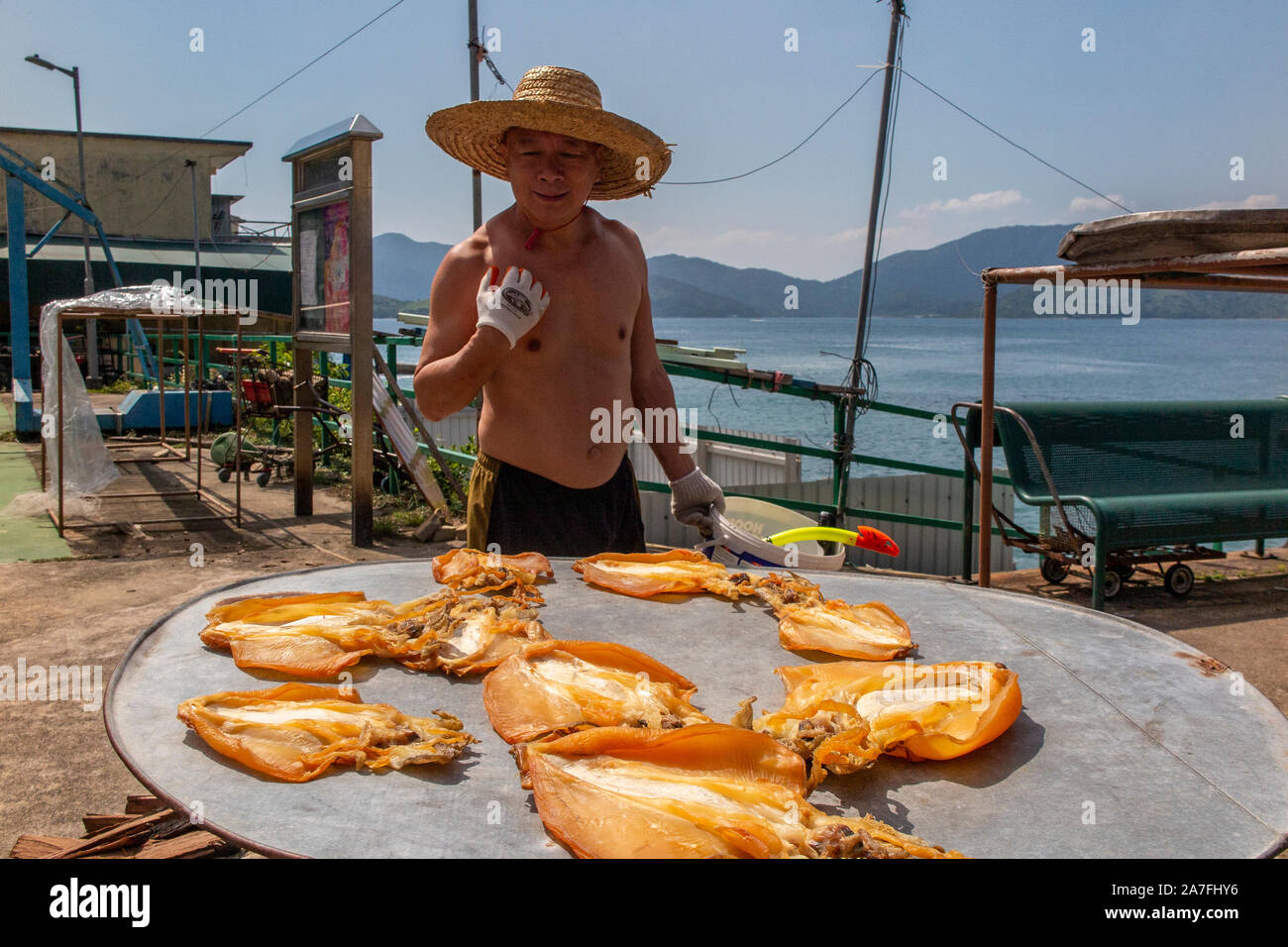 Jellyfish caught in the sea dry in the sun on a table in Tap Mun Island ...