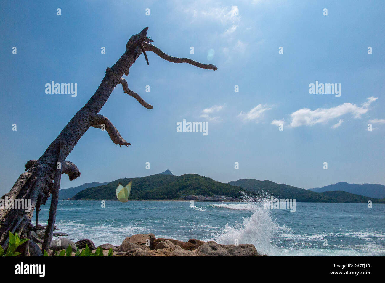 Surfing in the beautiful sea that surrounds Tap Mun Island (also known ...