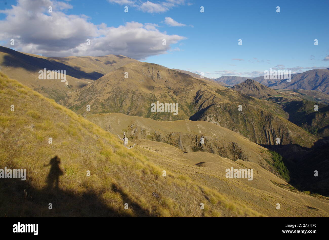Te Araroa Trail. Motatapu Alpine Track. South Island. New Zealand Stock ...