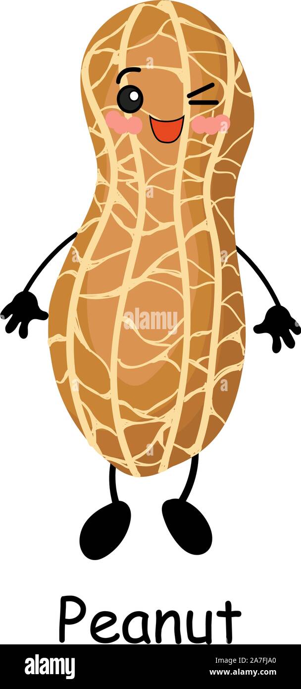 cartoon nuts vector illustration isolated on white background. Kawaii ...