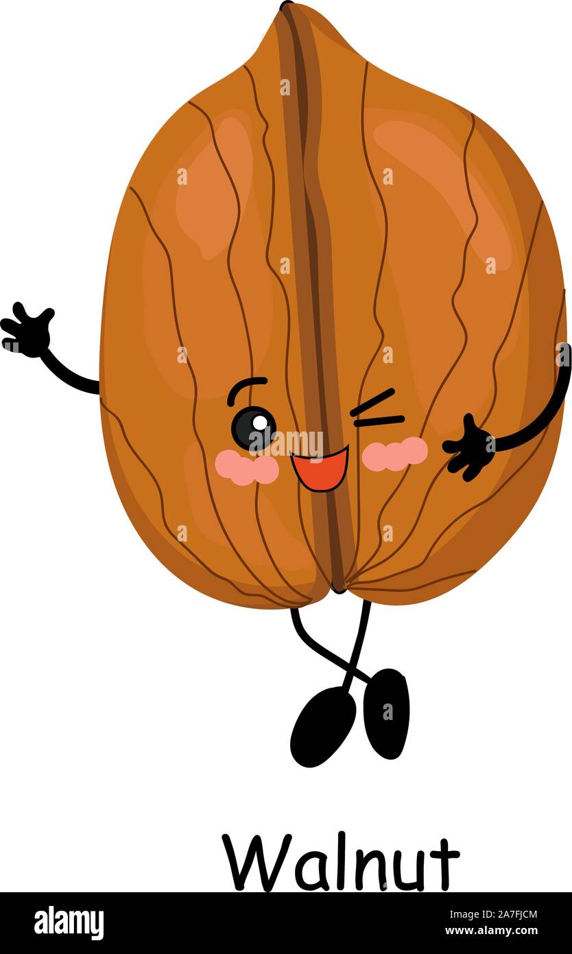 Walnut. Vector illustration. Walnut character isolated on white ...