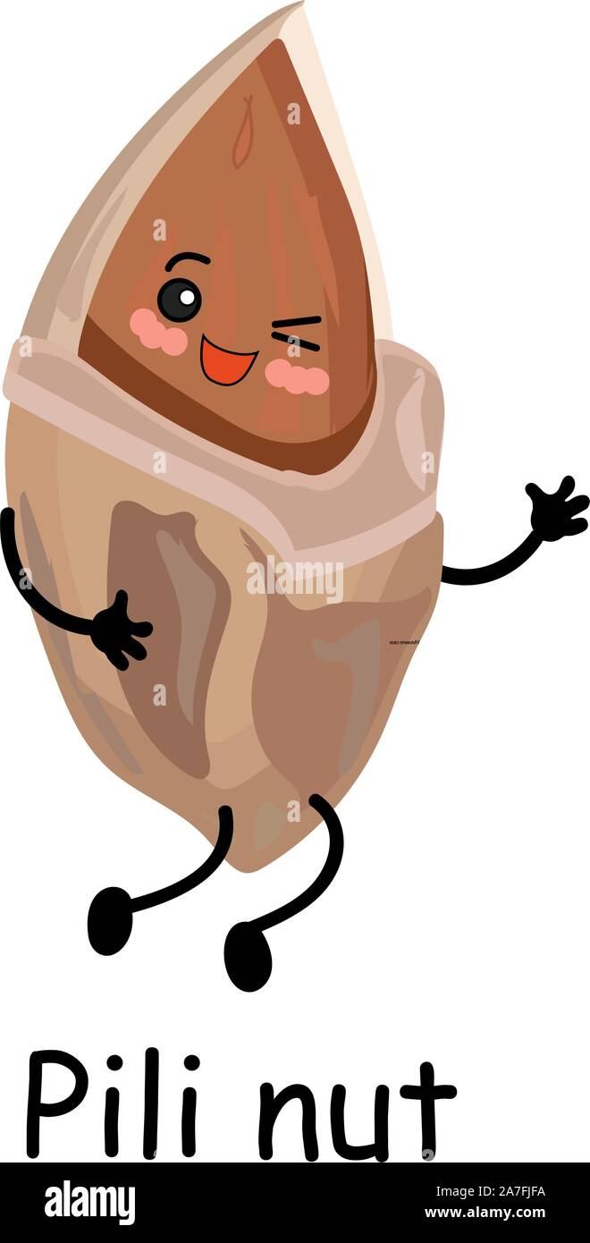 Hawaiian Pili nut. Exotic products. Cute character with arms and legs ...