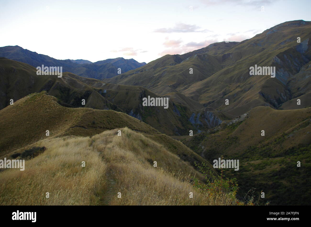 Te Araroa Trail. Motatapu Alpine Track. South Island. New Zealand Stock ...