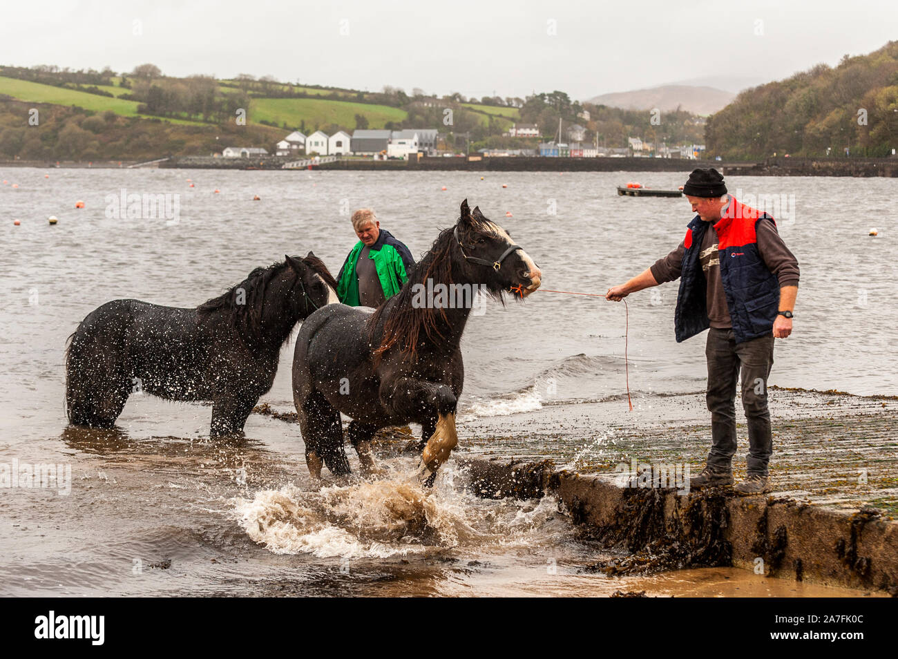 Bantry, West Cork, Ireland. 2nd Nov, 2019. Despite the bad weather in ...
