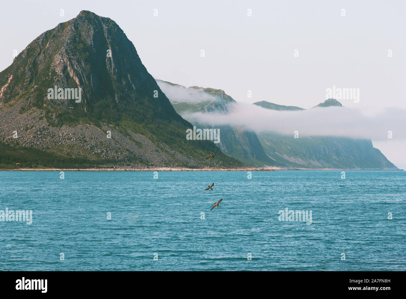 Husoy island in Norway mountains and sea landscape Travel locations ...