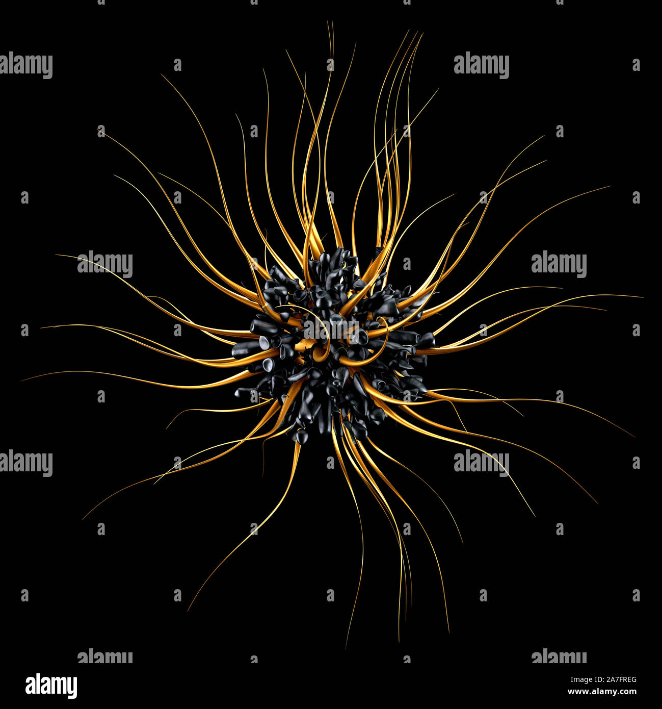 Golden form hi-res stock photography and images - Alamy