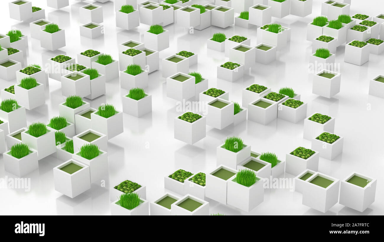 Plant green concept. 3d rendering, 3d illustration Stock Photo - Alamy