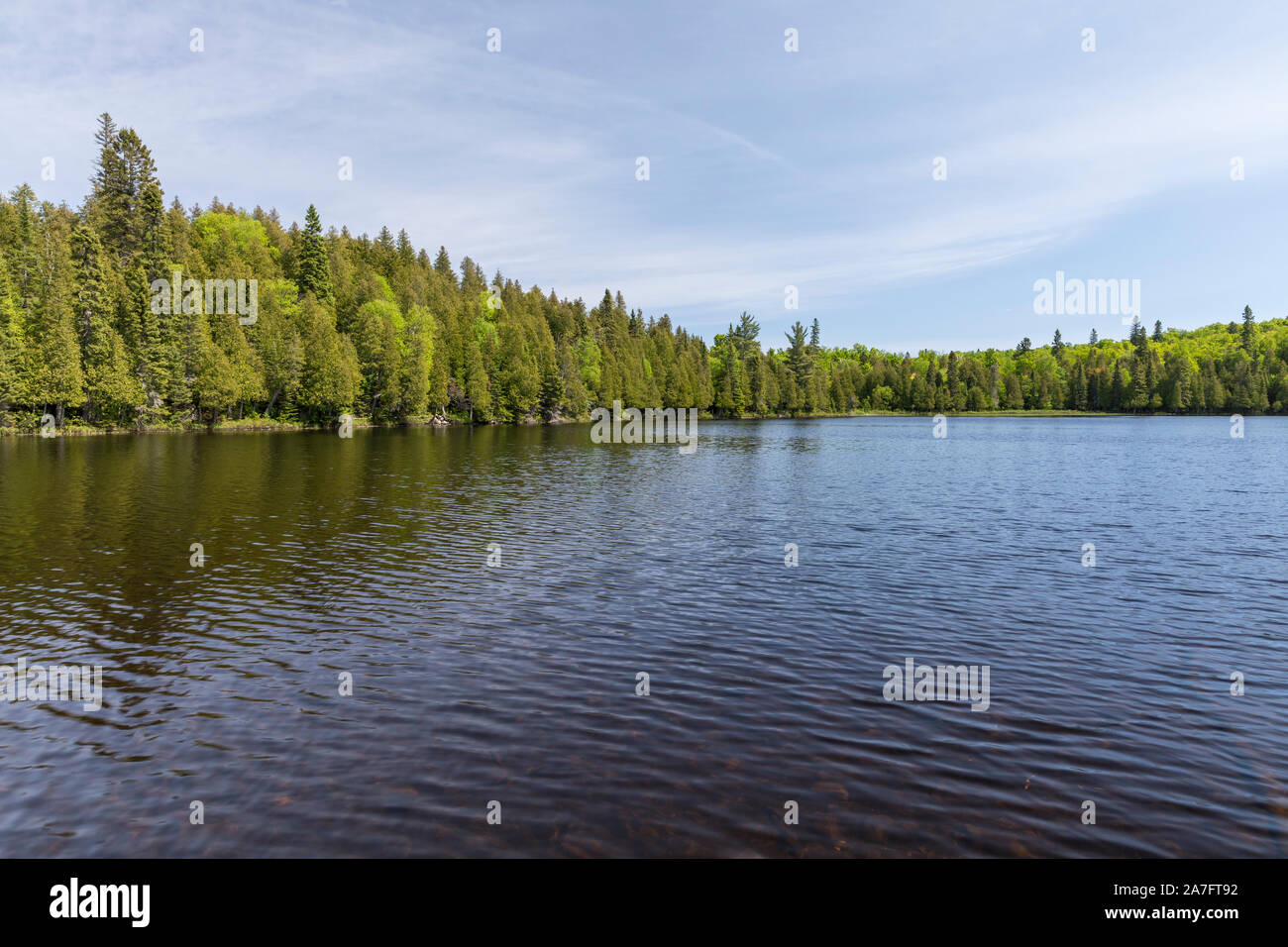 Scenic forest lake landscape hi-res stock photography and images - Alamy