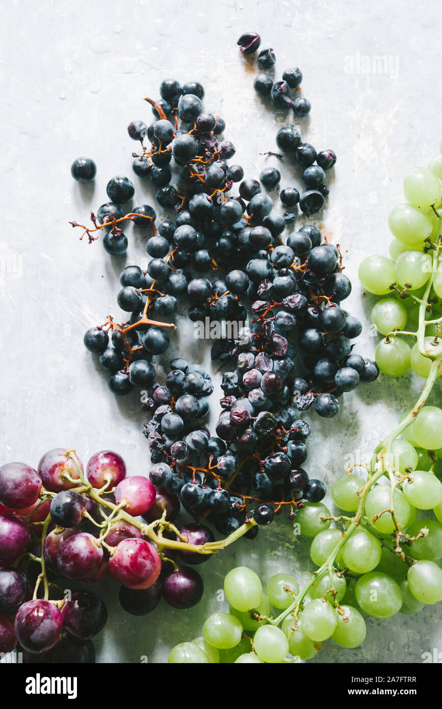 Three colors grapes biologically cultivated, sparsely arranged on a ...