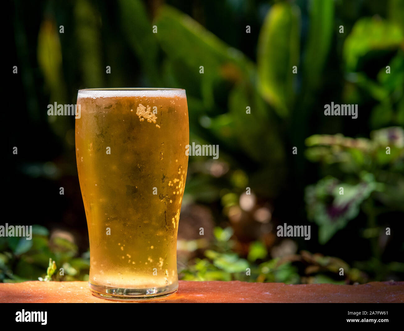 A glass of light yellow beer against a tropical garden Stock Photo - Alamy