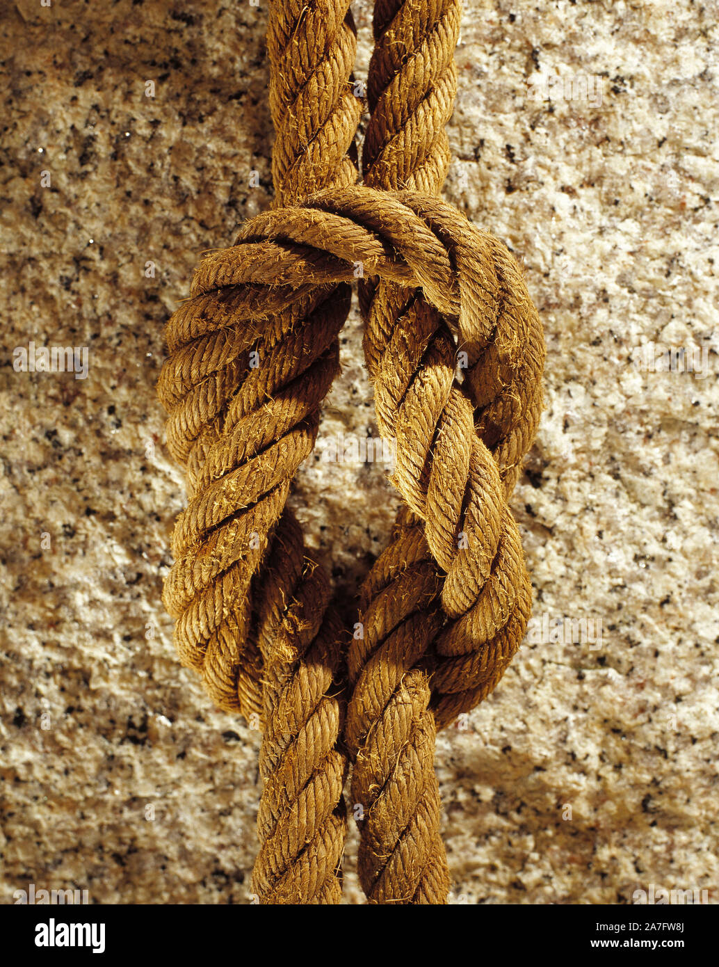 Still life. Close up of rope tied as reef knot Stock Photo - Alamy