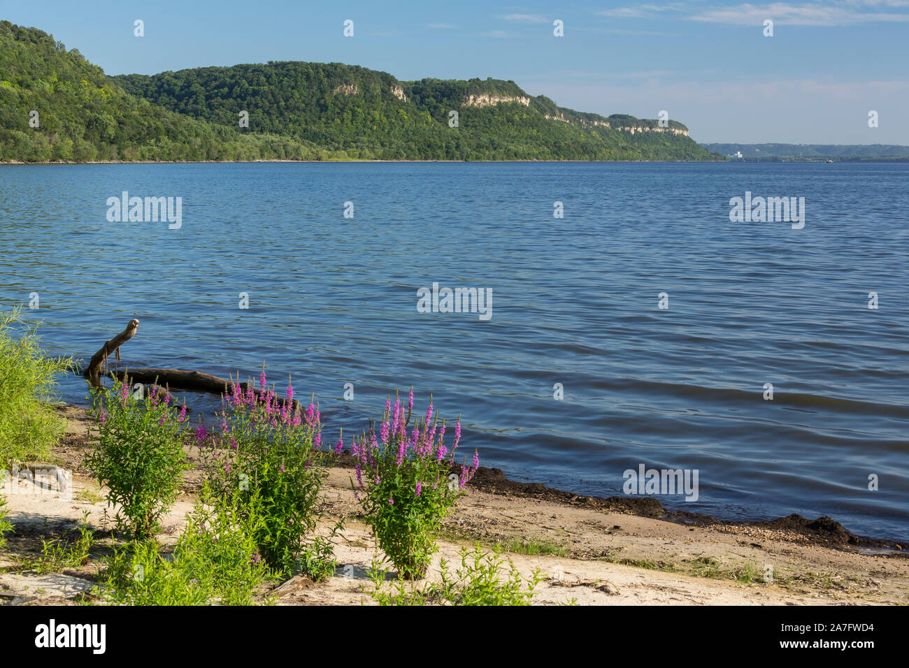 Lake Pepin on the Mississippi River Stock Photo - Alamy