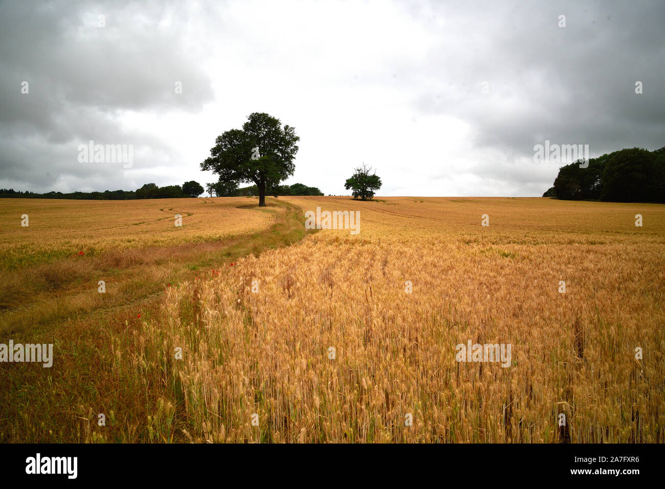 Array of Different Landscape images of Urban Decay and Agriculture ...