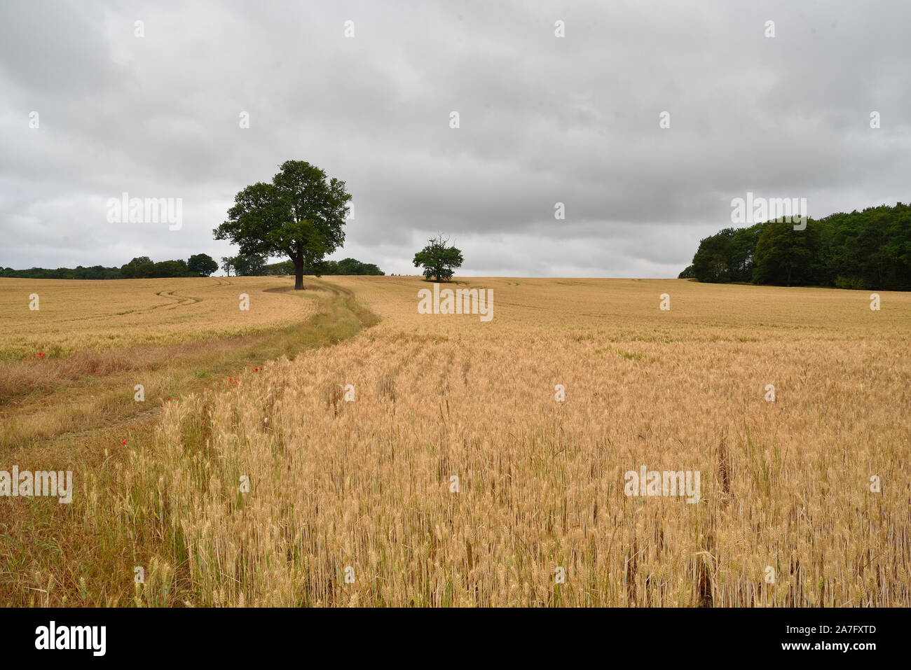 Array of Different Landscape images of Urban Decay and Agriculture ...