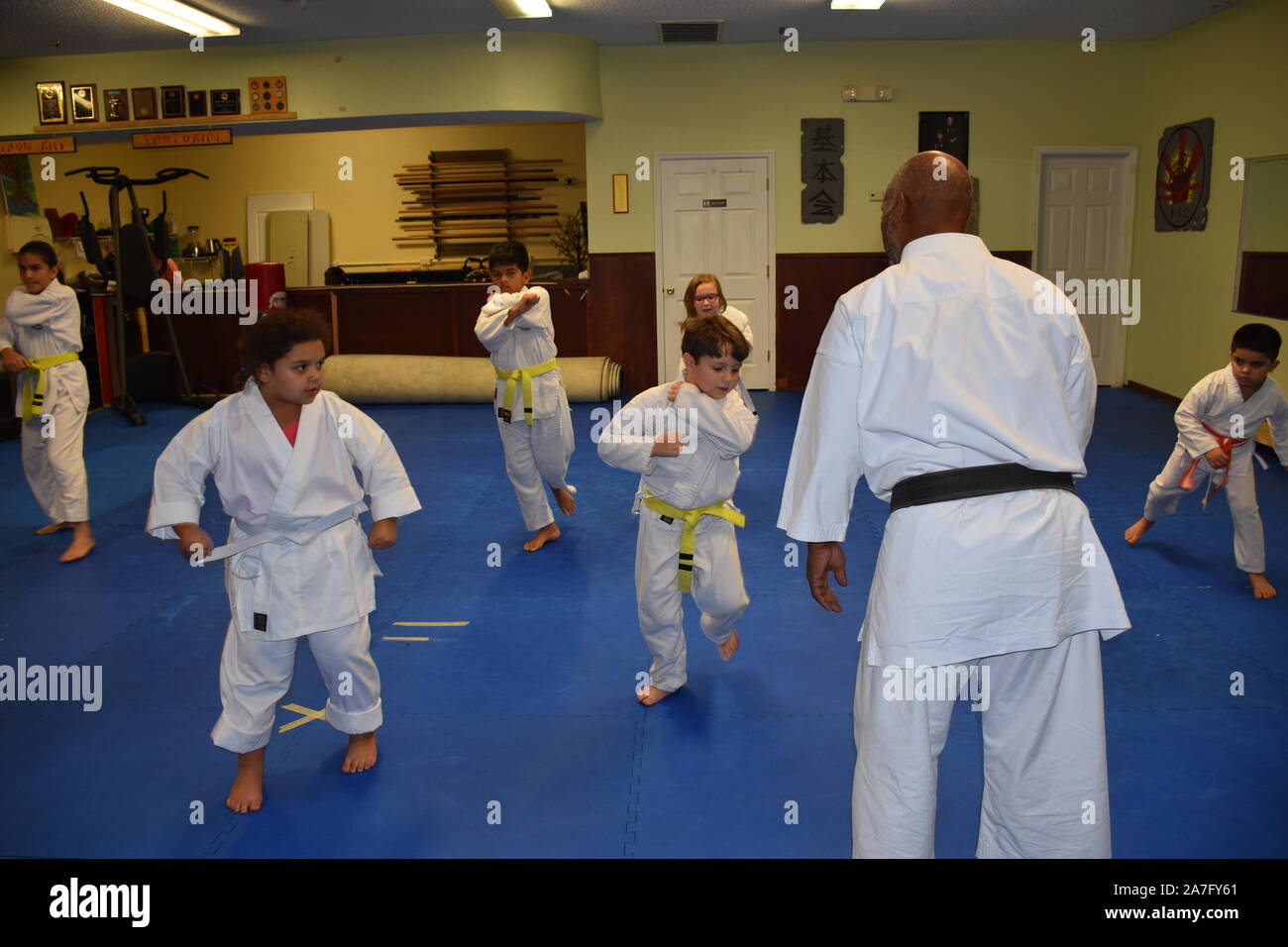 This action photo is of my daughter and her classmates in a Karate ...