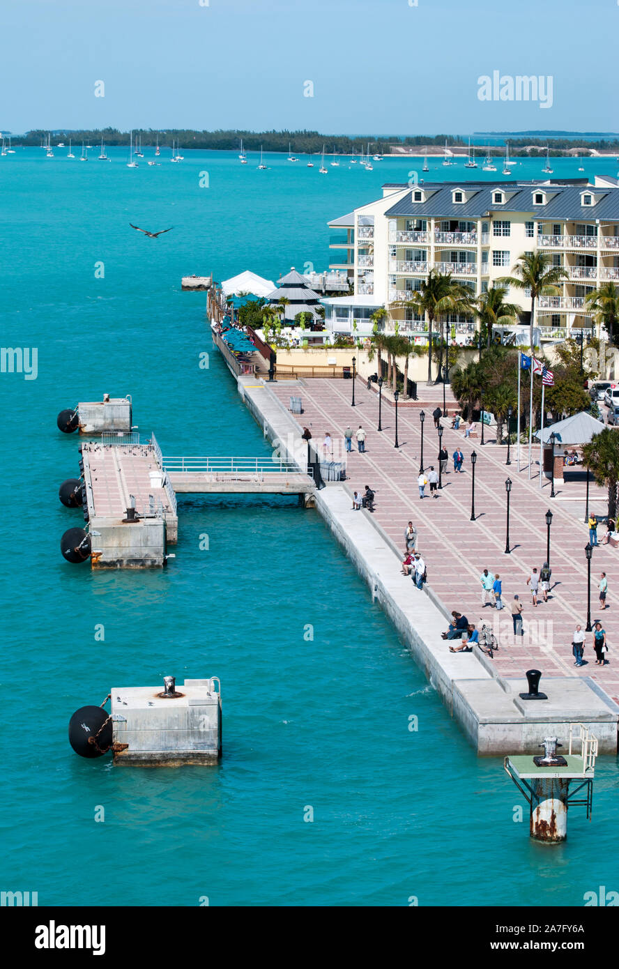 The aerial view of an empty Key West downtown pier where cruise ships ...