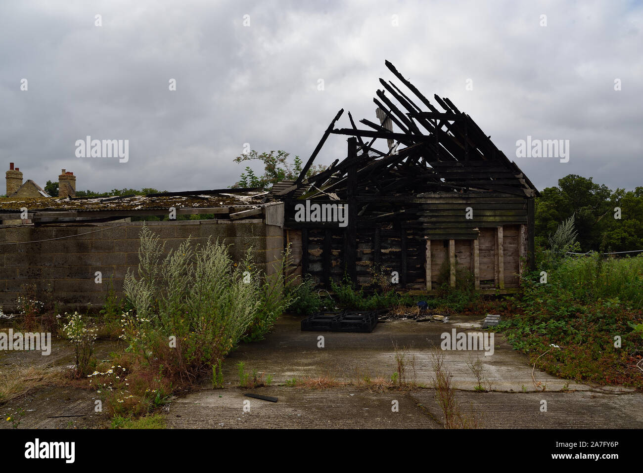 Array of Different Landscape images of Urban Decay and Agriculture ...