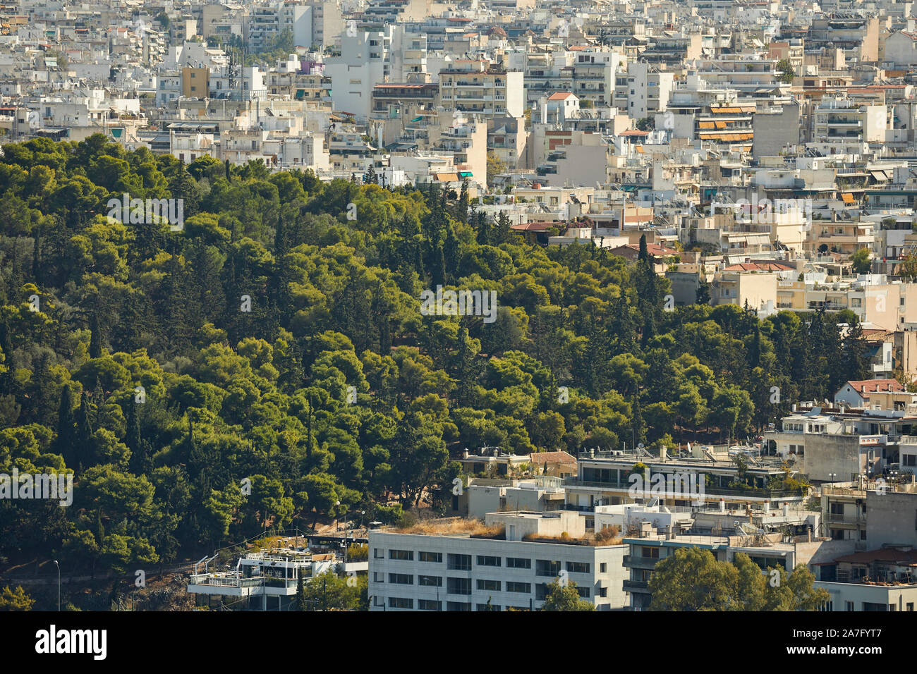Athens capital of Greece cityscape skyline small green space in the ...