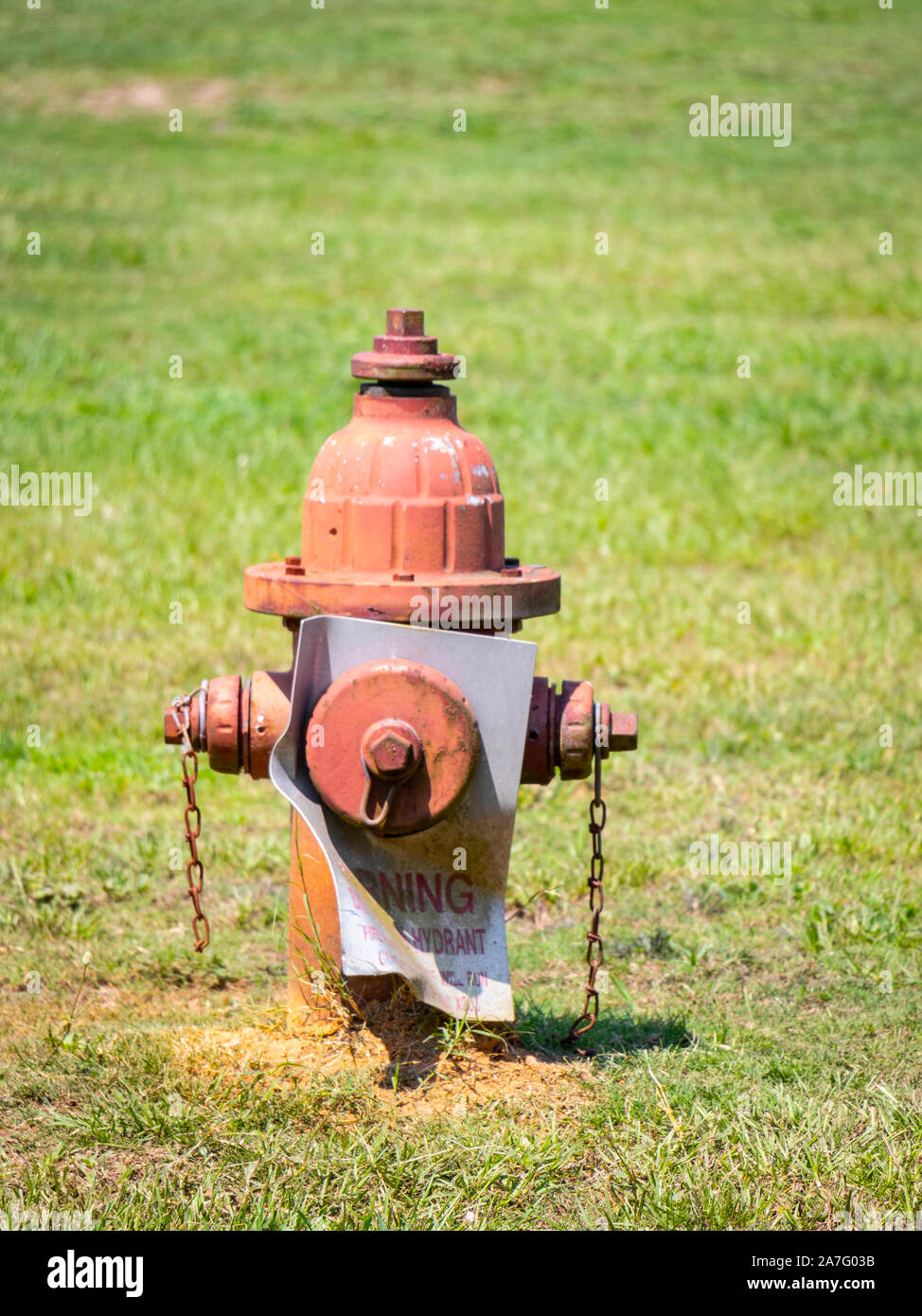 American fire hydrant in isolation Stock Photo - Alamy