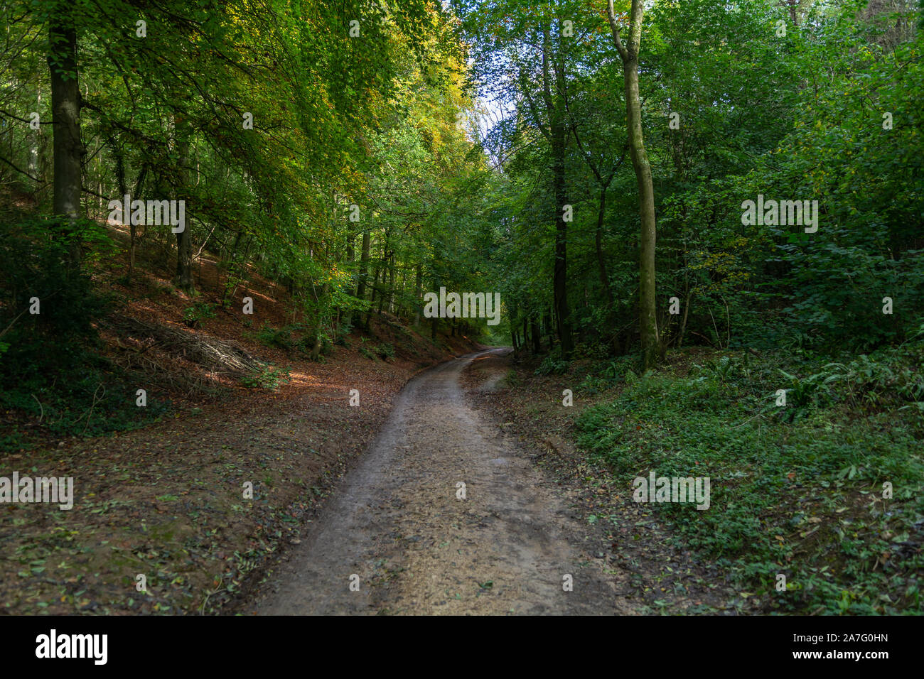A country path in England Stock Photo - Alamy