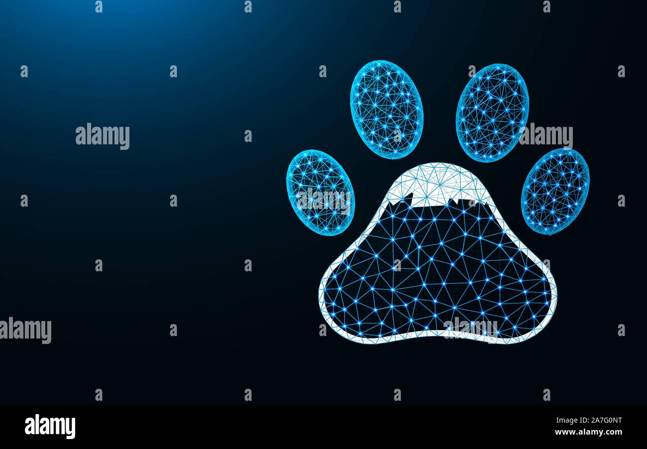 Pet footprints low poly design, cat and dog animal paw abstract ...