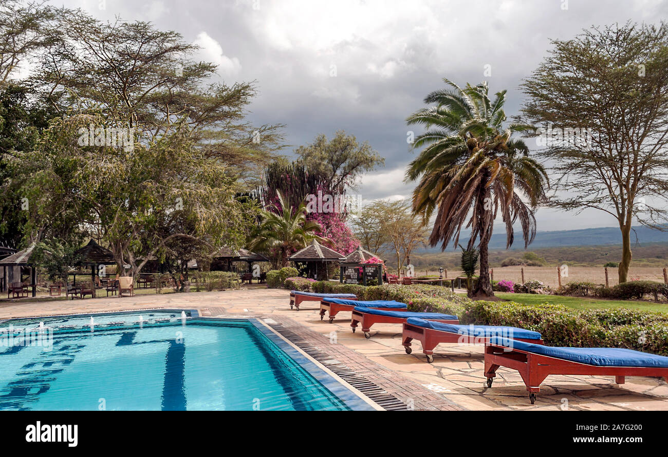 Kenya swimming pool safari holiday hi-res stock photography and images ...