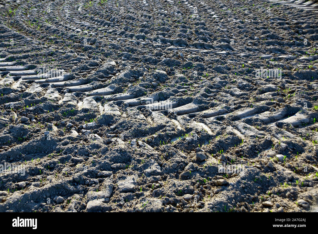 field with tractor tracks Stock Photo - Alamy