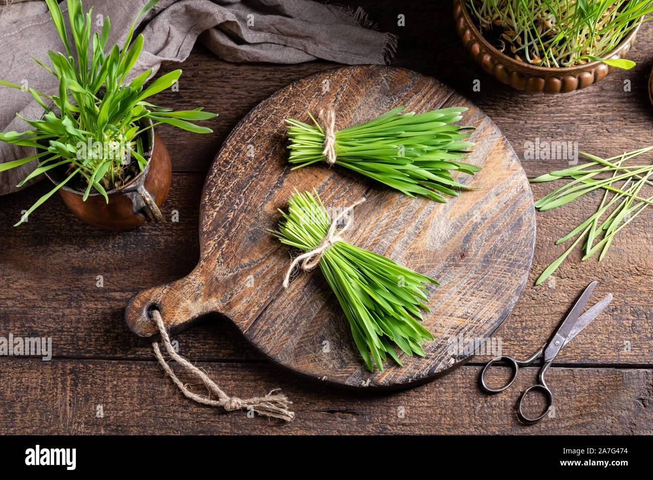 Top view fresh microgreen hi-res stock photography and images - Alamy