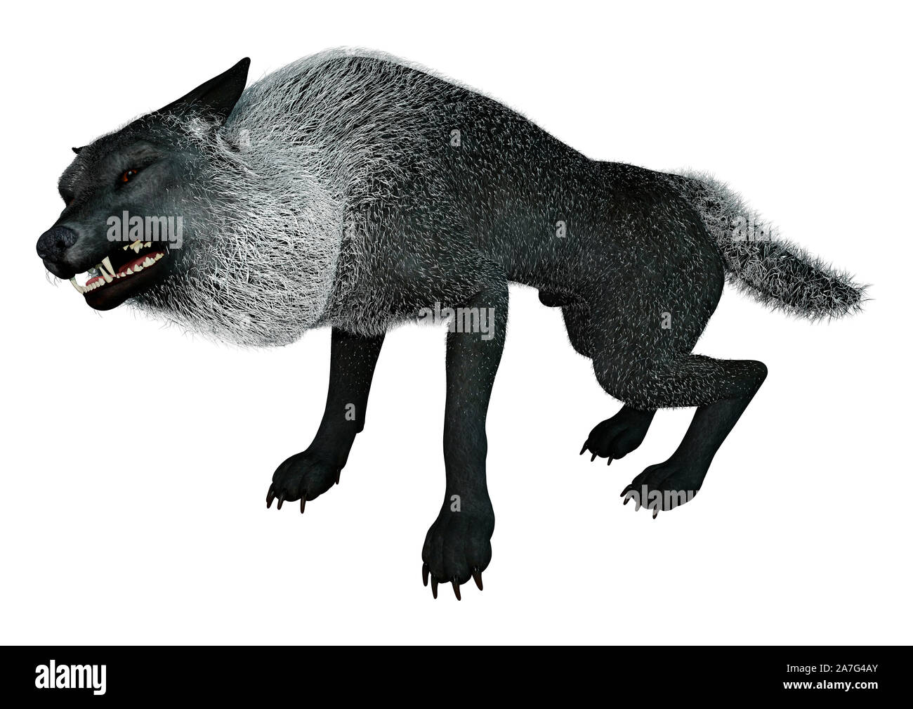 3D rendering of a black wolf isolated on white background Stock Photo ...