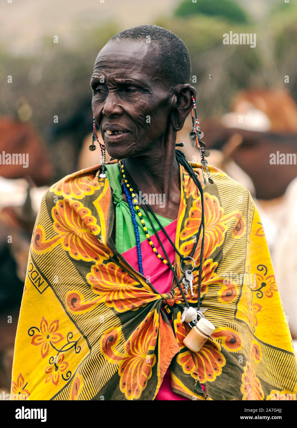 Camera Masai Native High Resolution Stock Photography and Images - Alamy
