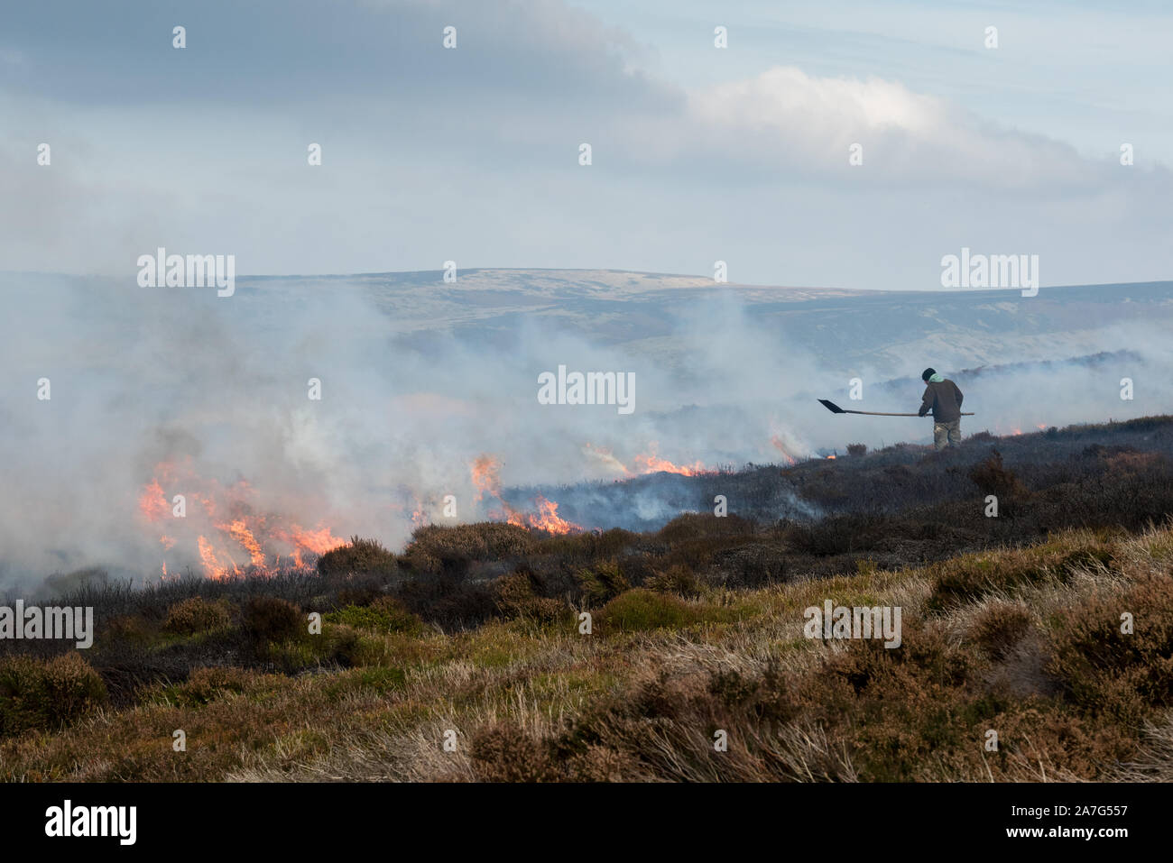 Grouse moor mangement by heather burning, Peak District National Park ...