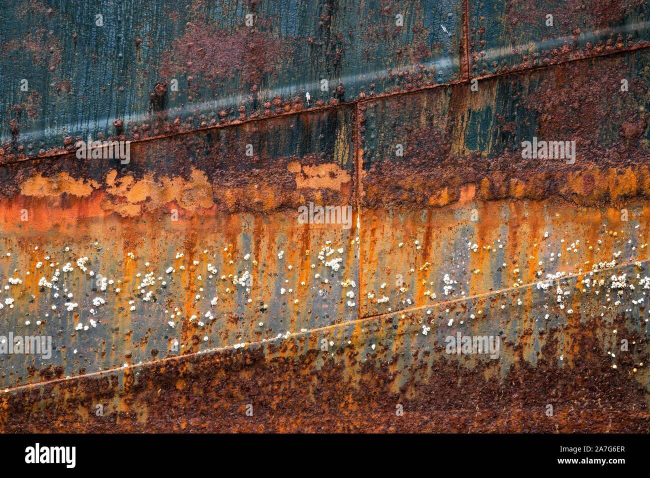 Barnacles ship hi-res stock photography and images - Alamy